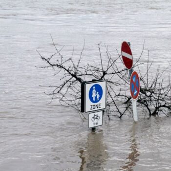 E3G - A safe climate for all